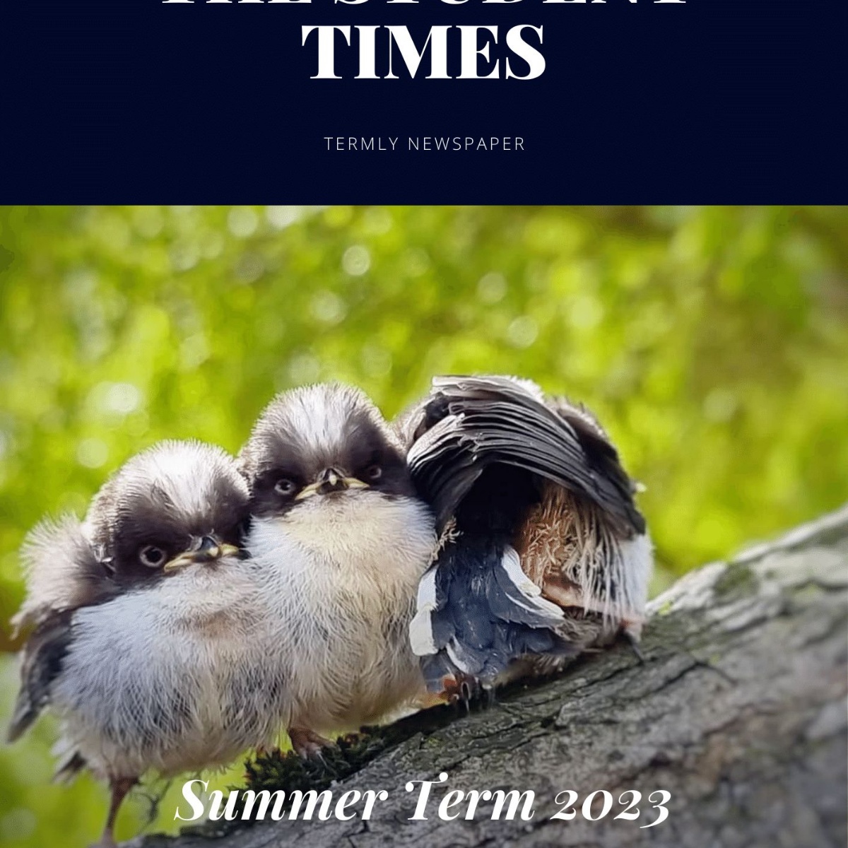 The Redhill Academy - Summer Term 2023